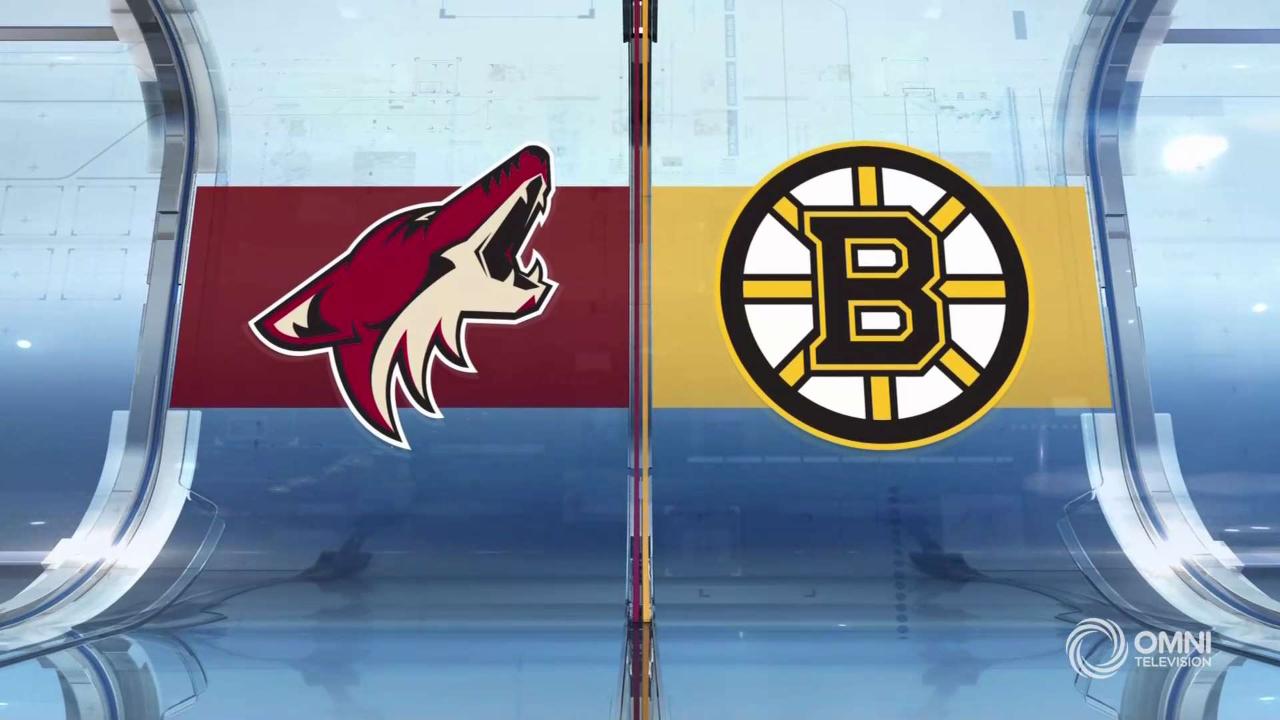 Arizona vs Boston Full Highlights - Feb 8th, 2020 - OMNI